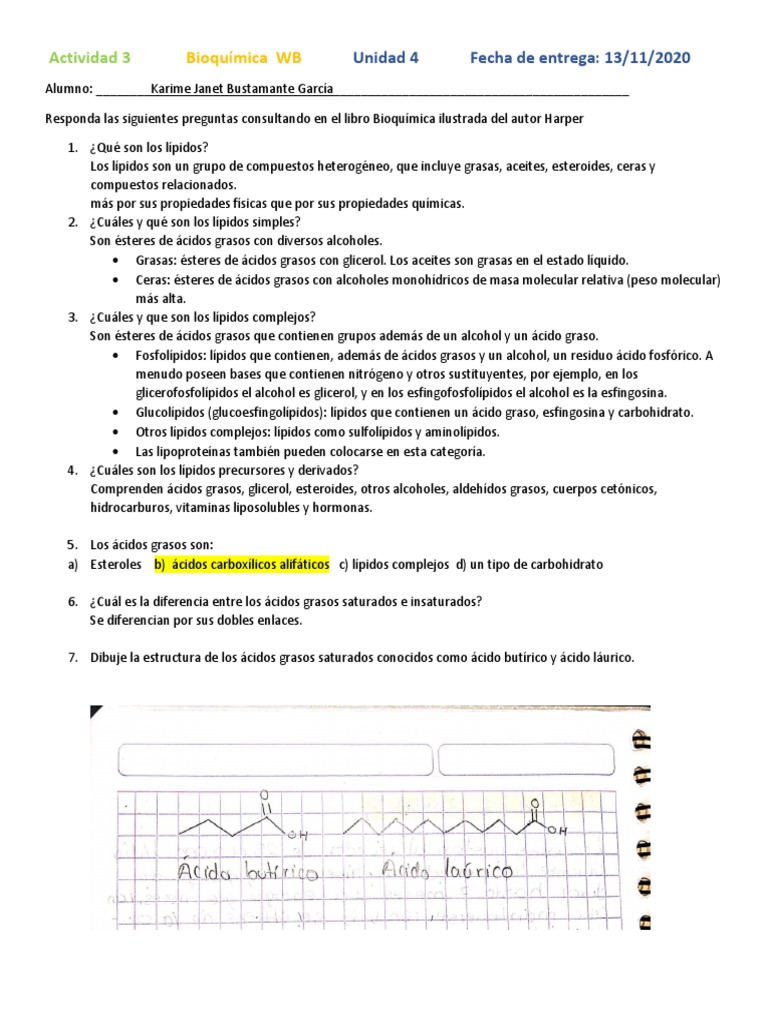 Actividad 3 Unidad 4 | PDF