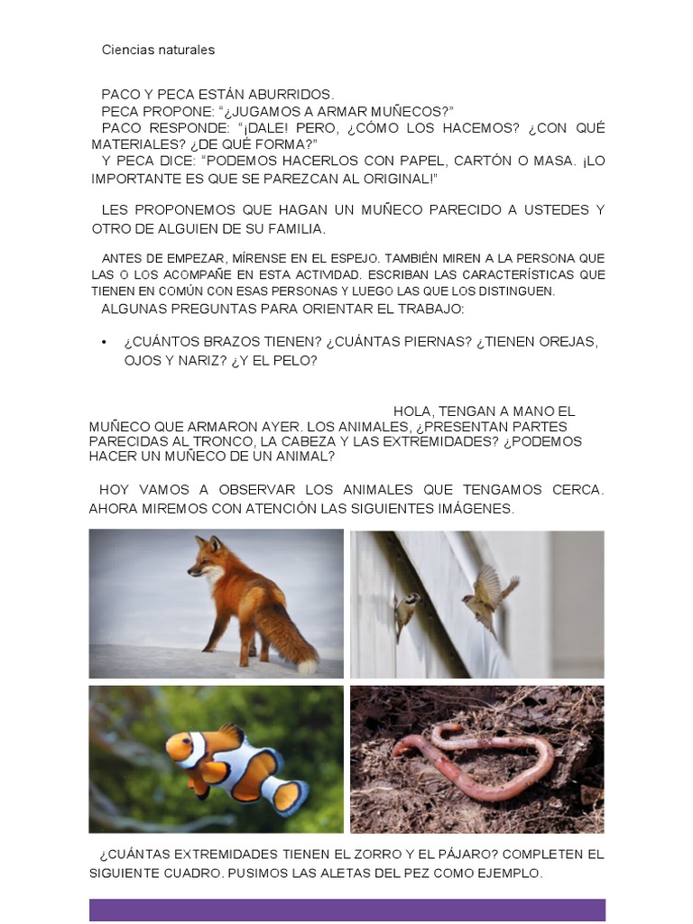 Ciencias Naturales Animales | PDF | Esqueleto | Pescado
