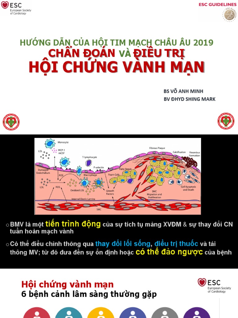 (YhocData - Com) ESC 2019 HCVM PDF | PDF