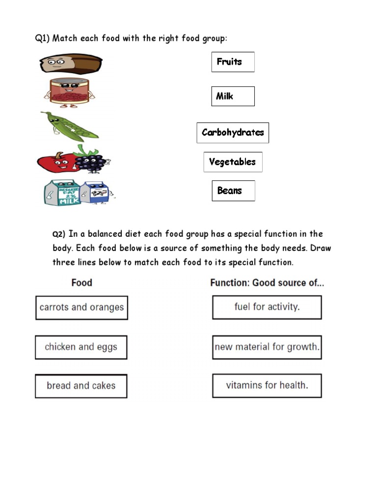 2.5 Science Worksheet Y3 | PDF | Foods | Nutrition
