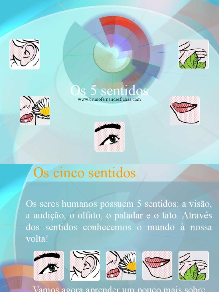 Os 5 Sentidos | PDF | Gosto | Olho