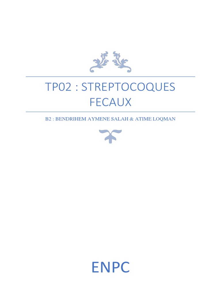 tp02 Microbio | PDF