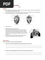 Sheep Heart Dissection Lab Guide | PDF