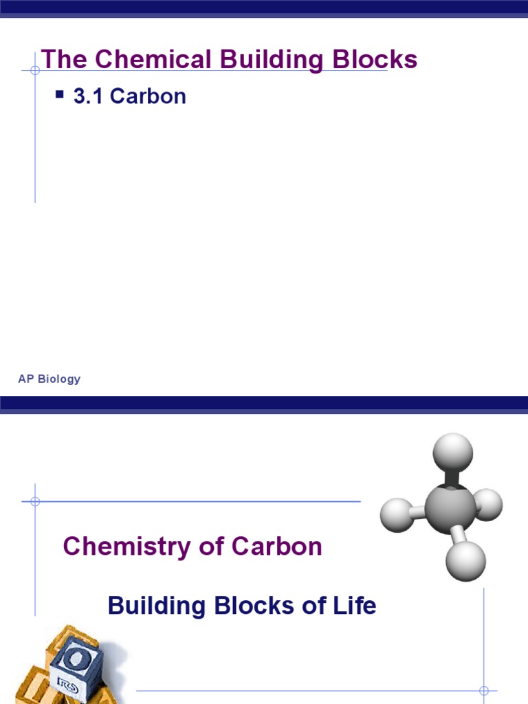 Ch03 Chemical Building Blocks of Life Carbon | PDF | Carboxylic Acid ...