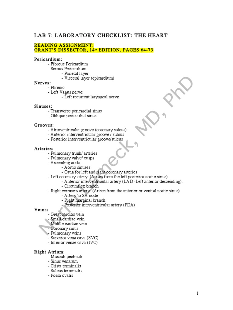 Lab 7 Checklist-Clin Case | PDF | Coronary Circulation | Heart Valve