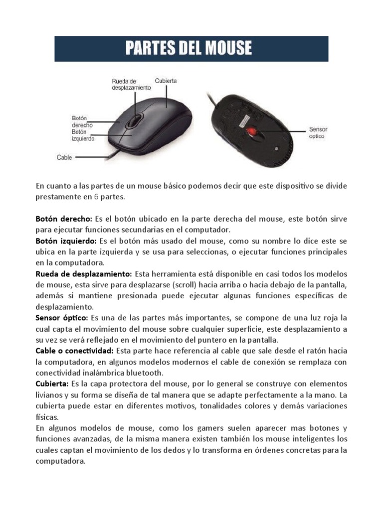 Partes Del Mouse | PDF