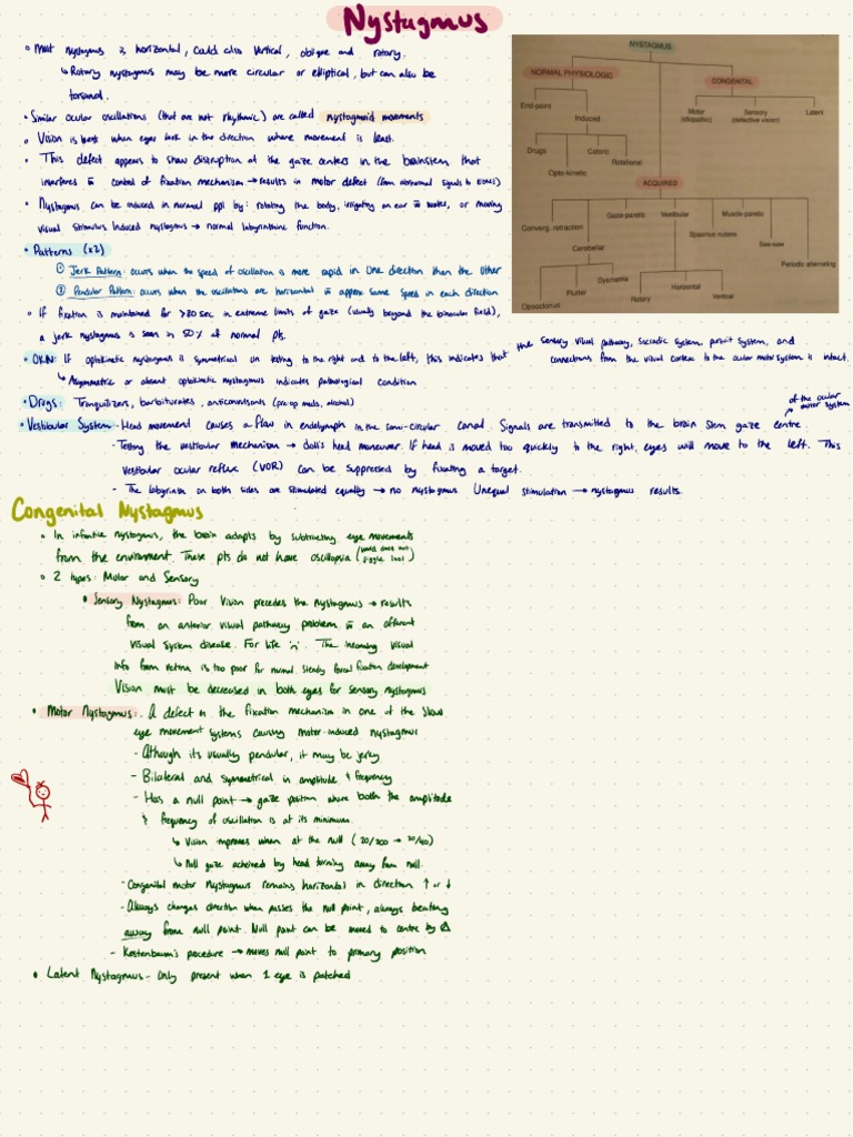Horizontal nystagmus patterns and causes | PDF | Vestibular System | Light