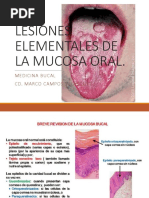 Region Geniana | PDF | Cabeza y cuello humanos | Anatomía humana