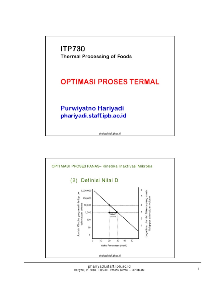 Optimasi Proses Termal Makanan | PDF