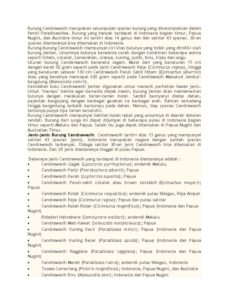 Cendrawasih | PDF