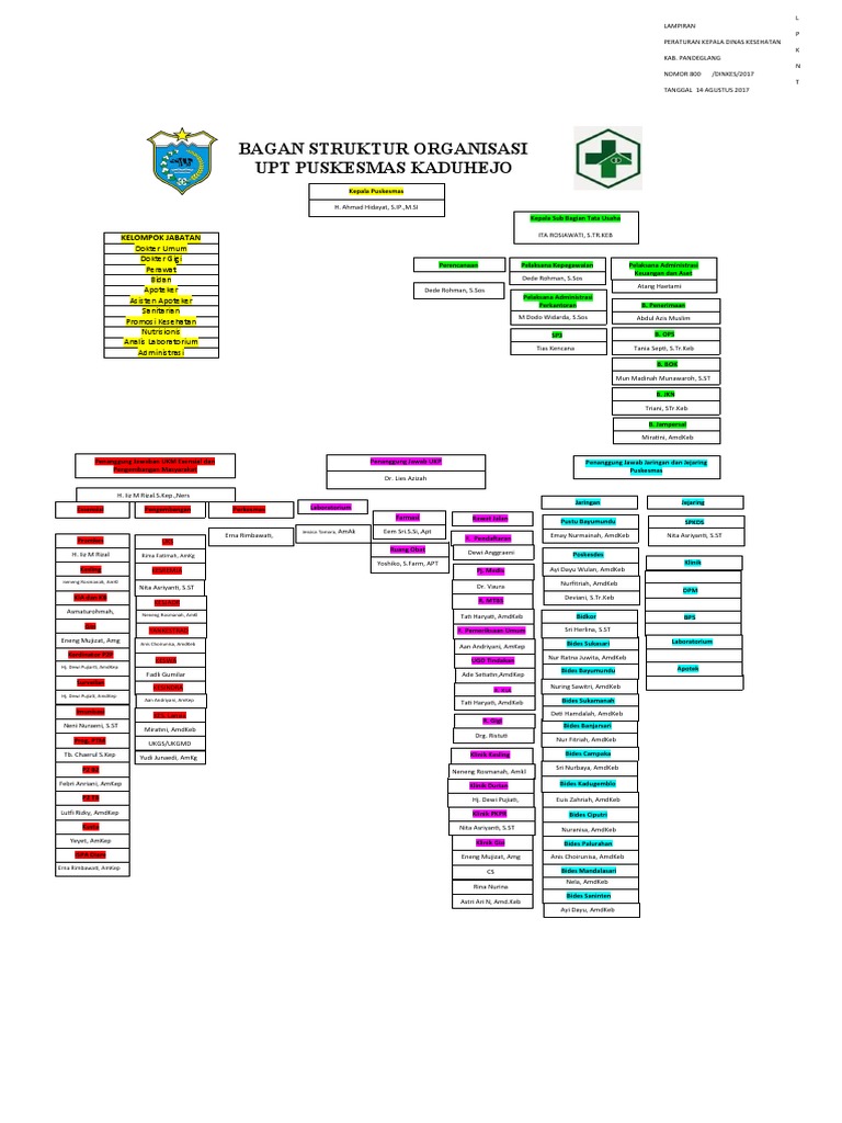 Struktur Organisasi Upt Puskesmas | PDF