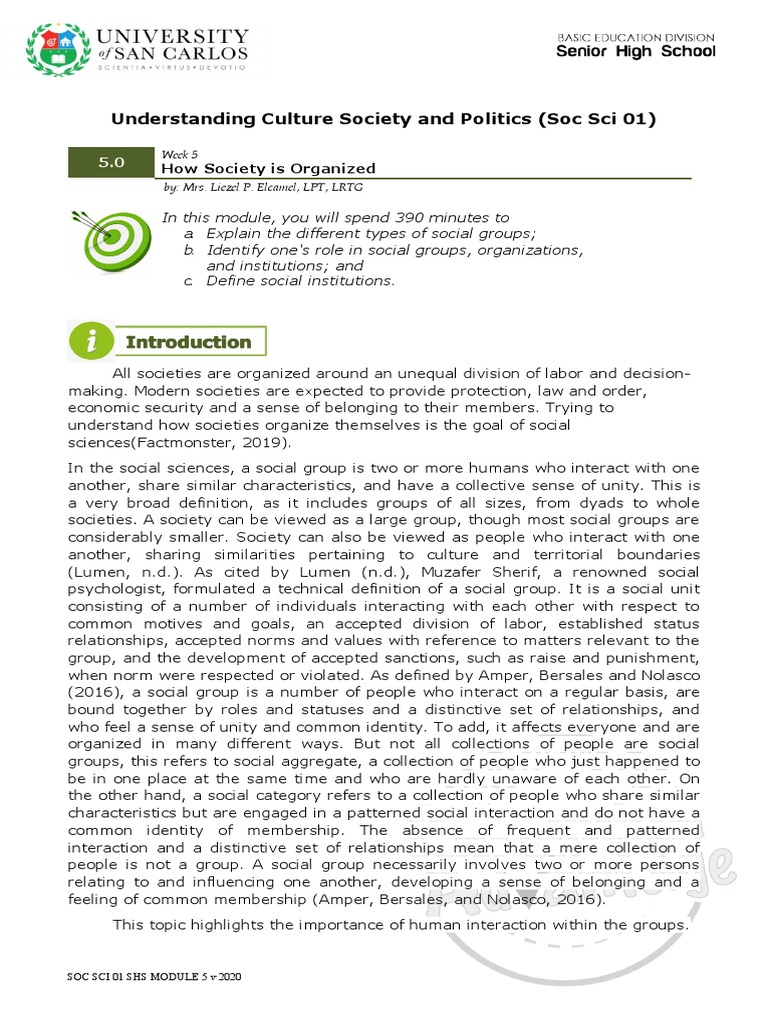Understanding Culture Society and Politics (Soc Sci 01) : How Society Is Organized | PDF ...