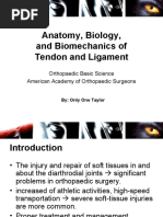 Mechanical Advantage vs. Disadvantage in Levers | PDF | Anatomical ...