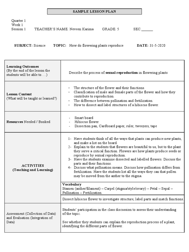 Sample Lesson Plan Demo | PDF | Flowers | Pollination
