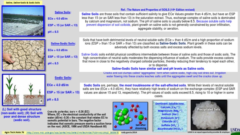 Because Soluble Salts Help Prevent Dispersion of Soil Colloids | PDF ...
