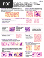 Cours de Physiologie Sanguine | PDF | Globule rouge | Sang