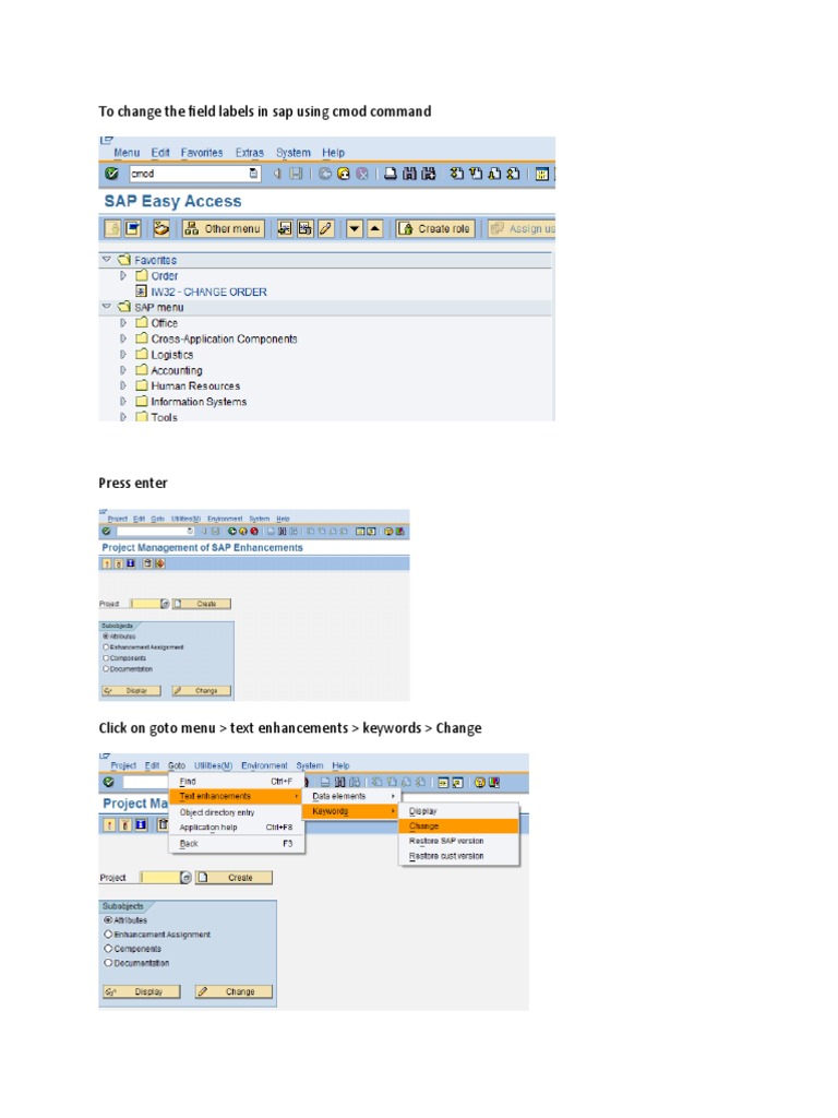 Change Field Labels in Sap Using Cmod Command | PDF