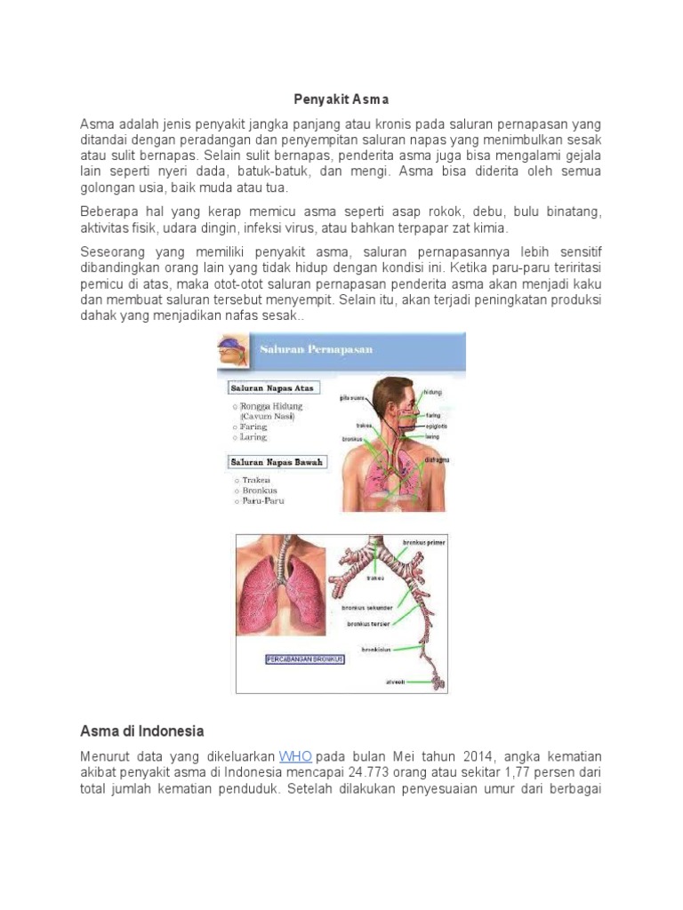 Asma: Gejala, Diagnosis, dan Pengobatan | PDF
