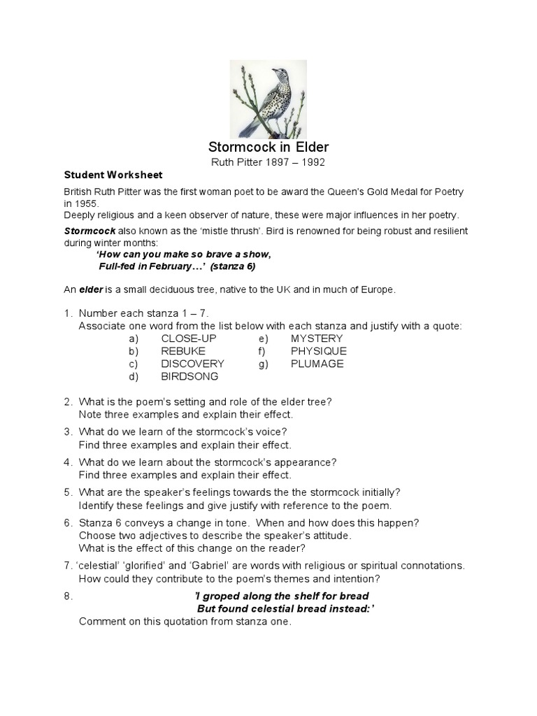 2nde Poetry Stormcock in Elder Student Worksheet | PDF