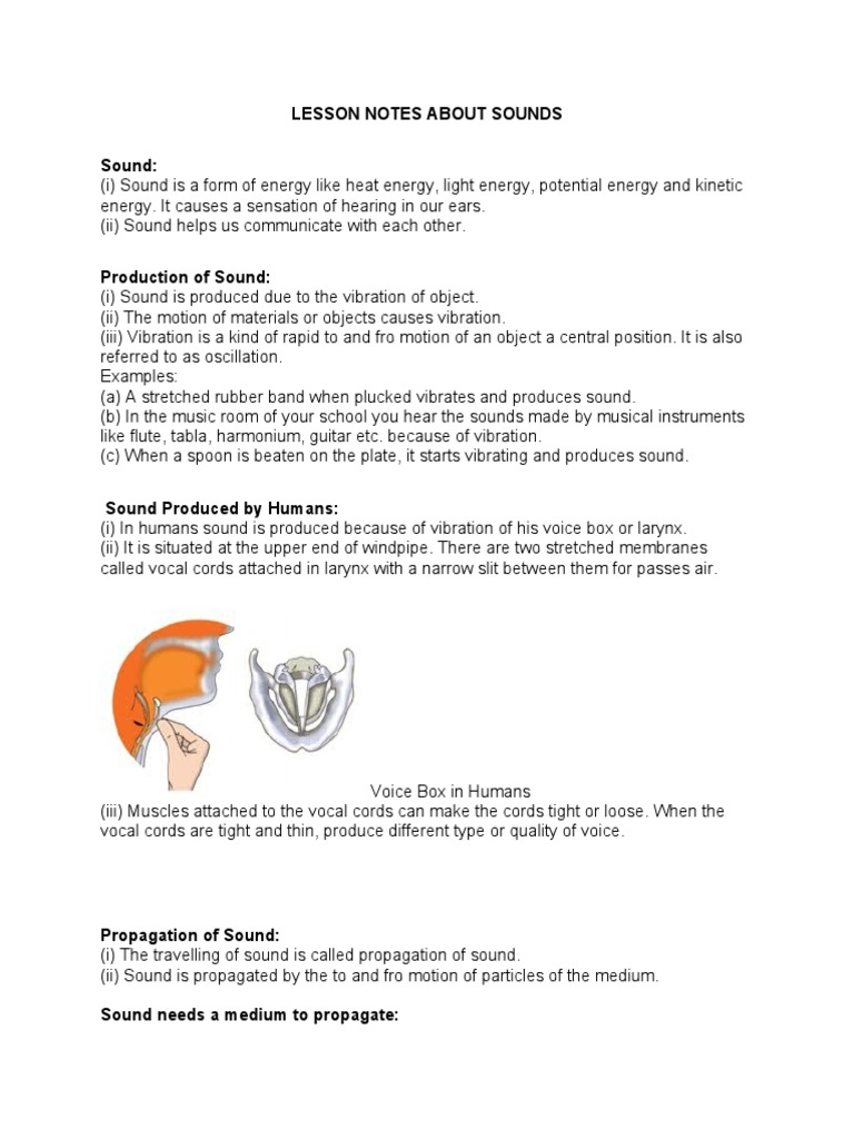 Lesson Notes About Sounds | PDF | Ear | Sound