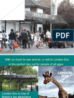 London Zoo Map | PDF