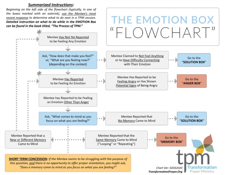 EMOTION Box Flowchart | PDF