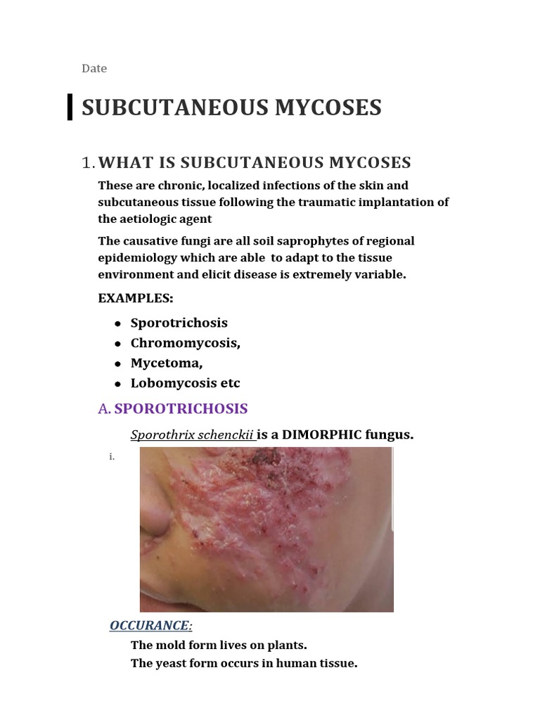 What Is Subcutaneous Mycoses | PDF | Fungus | Epidemiology