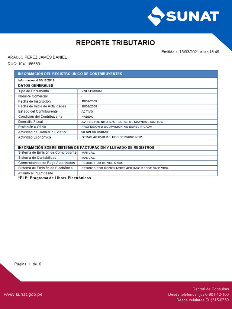 Reporte Tributario de Ingresos | PDF | Economias | Business