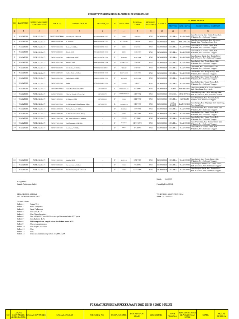 Format Pengisian Si SDMK Online - PKM Kulati | PDF
