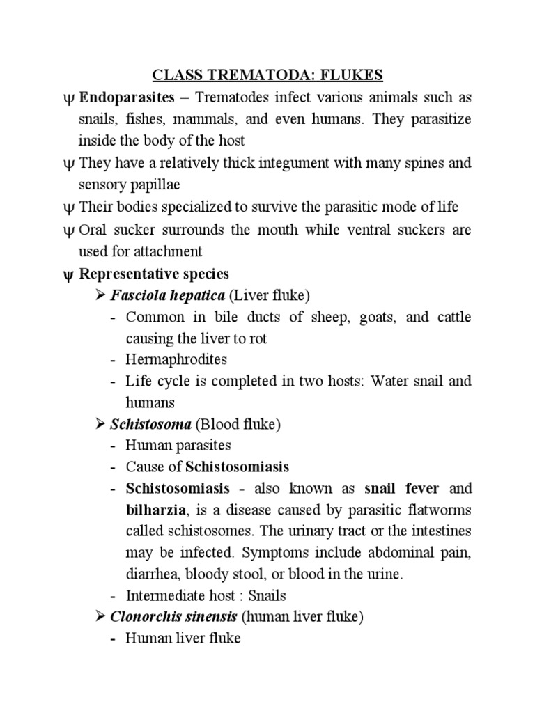 Class Trematoda: Flukes | PDF | Parasitology | Microbiology