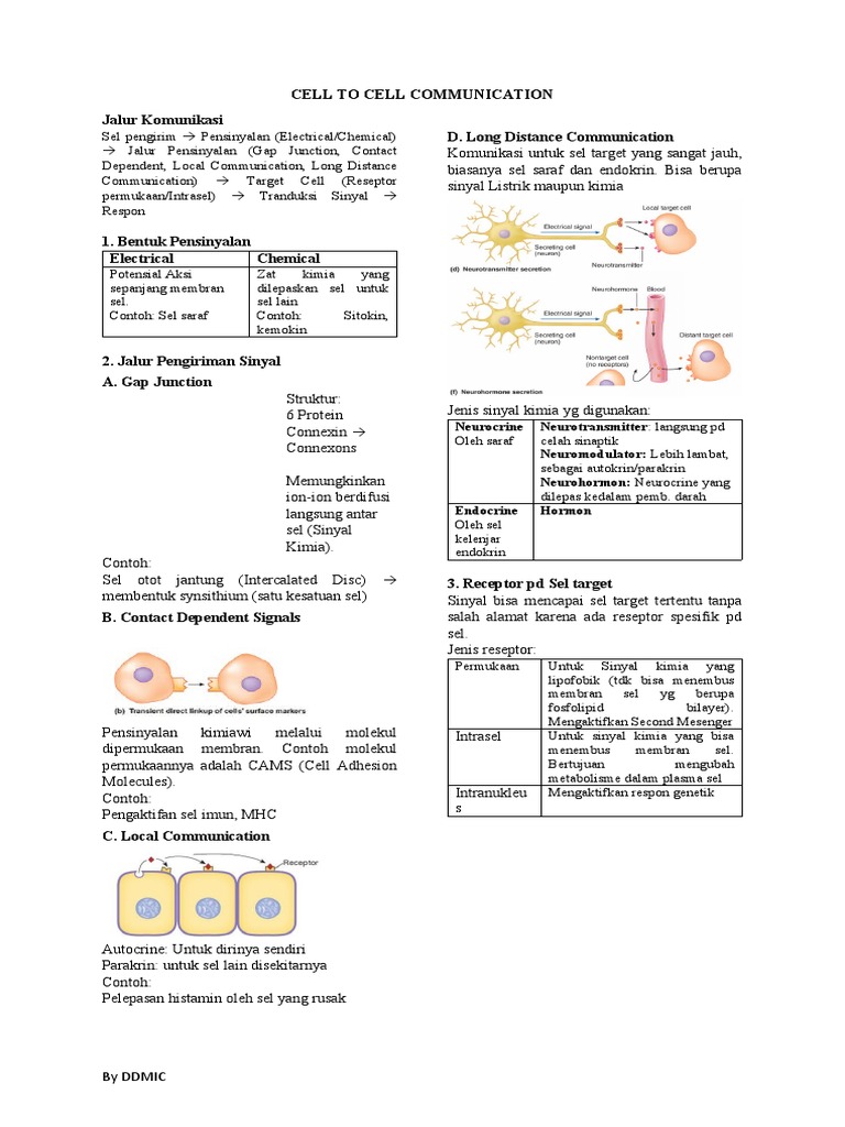 Cell To Cell Communication | PDF