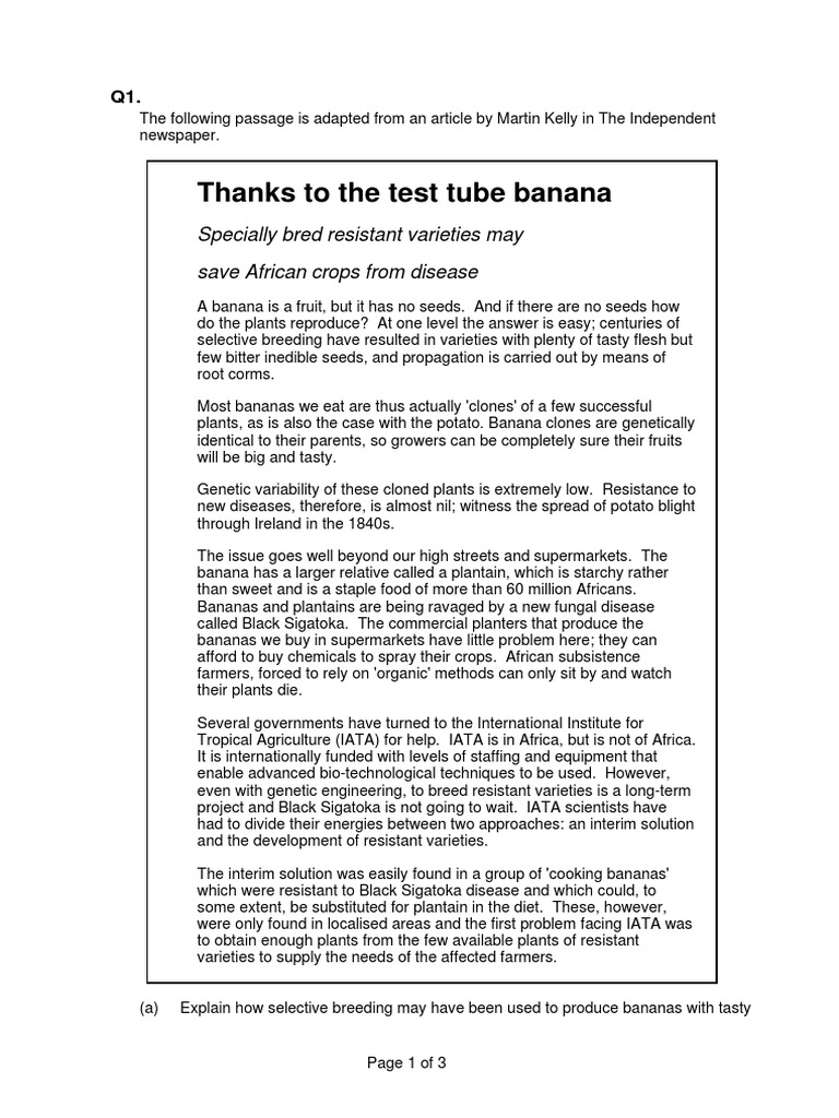 Plantcloning - Doc Questions | PDF | Banana | Potato