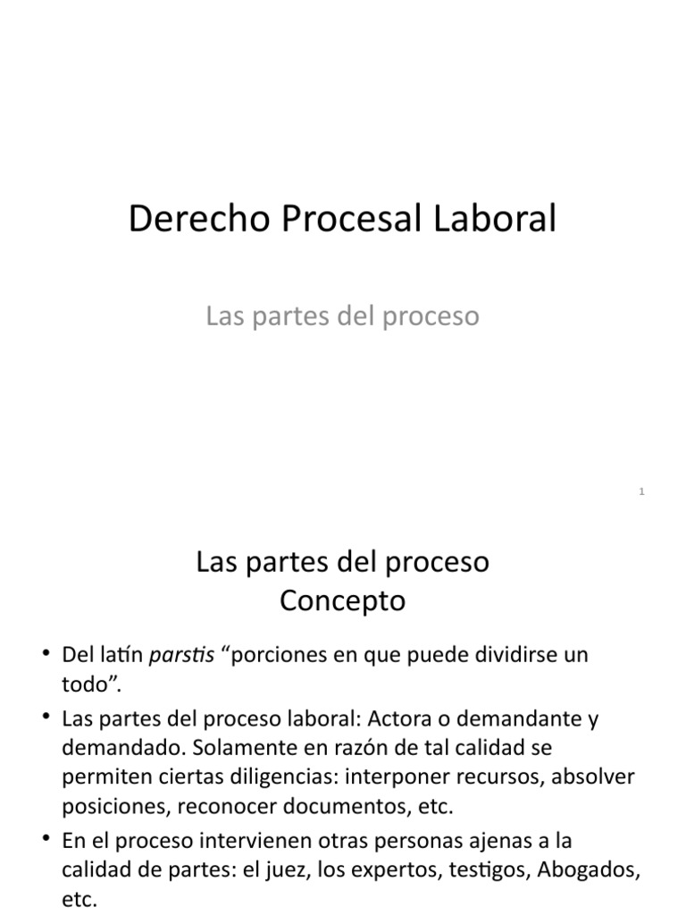 Las Partes Del Proceso | PDF | Ley procesal | Judicaturas