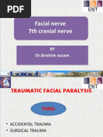 Common Pediatric Terminology | PDF | Lung | Abdomen