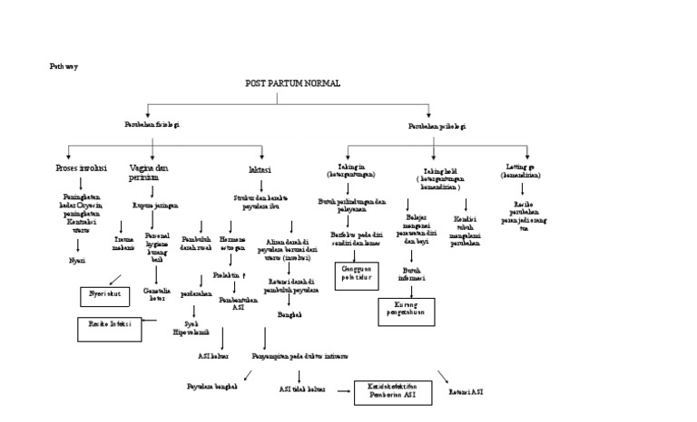 Pathway Post Partum | PDF