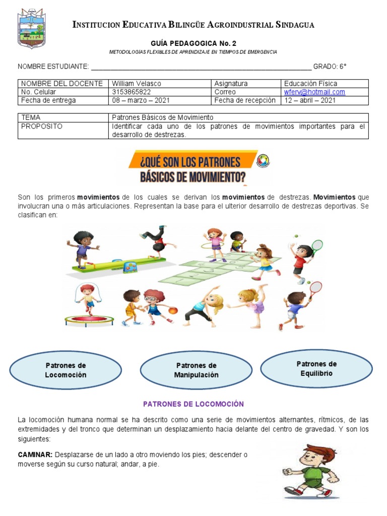 Patrones Básicos de Movimiento en Educación Física | PDF | Science | Física