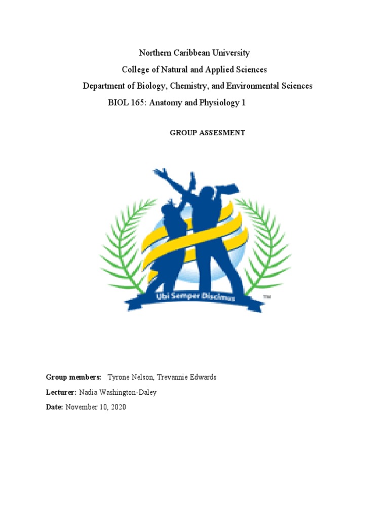 Anatomy Assessment | PDF | Human Body | Homeostasis