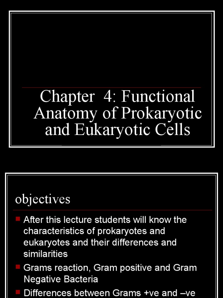 Prokaryotes_and_Eukaryotes_Microbiology_notes_chapter_4_2016 | Cell ...