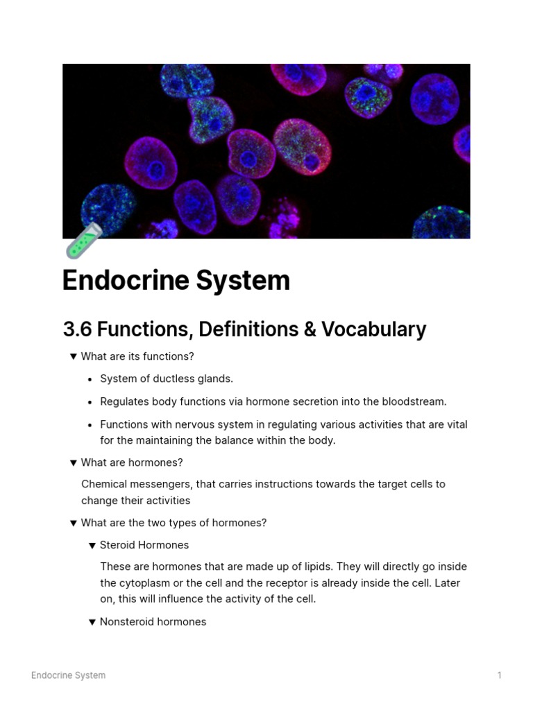 Endocrine System: 3.6 Functions, Definitions & Vocabulary | PDF ...