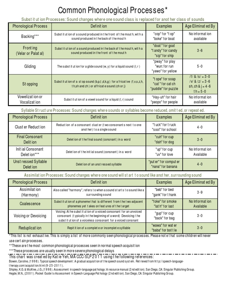 Common Phonological Processes Chart | PDF | Consonant | Languages
