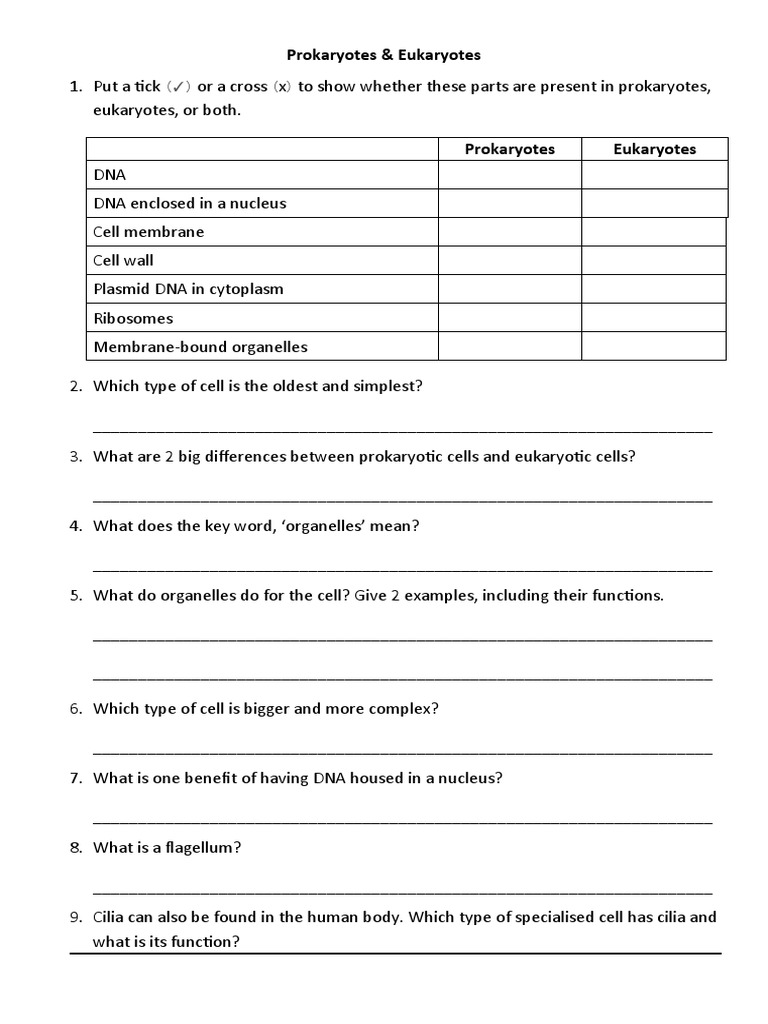 Prokaryotic vs Eukaryotic Cells Worksheet | PDF