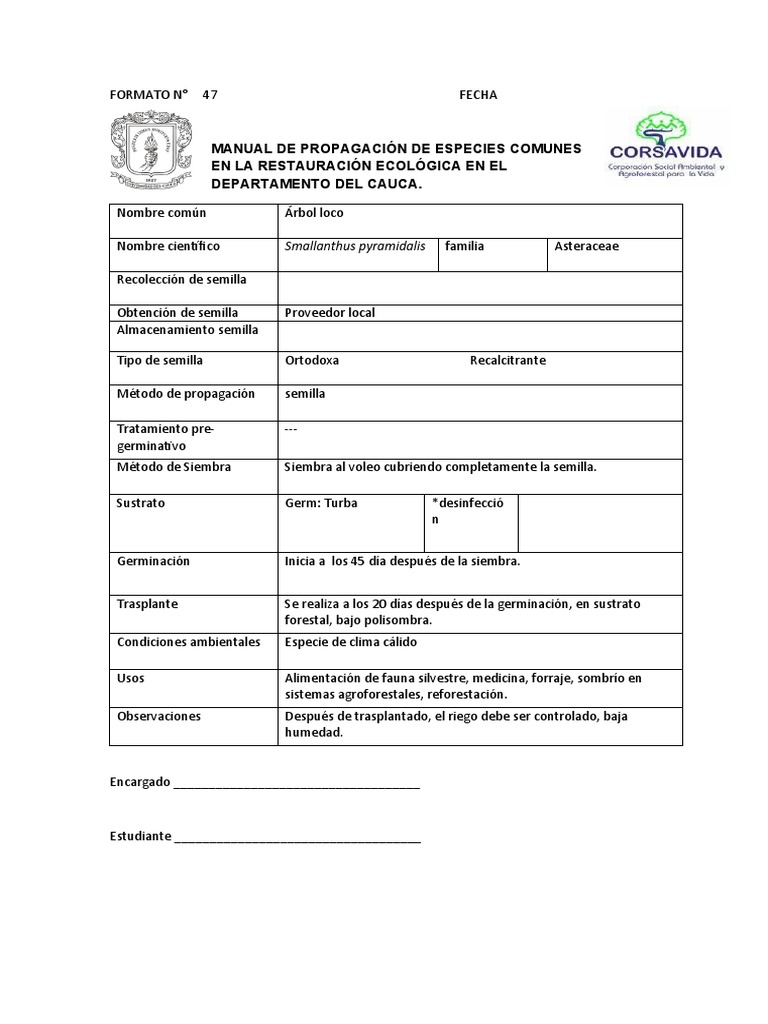 Smallanthus Pyramidalis | PDF