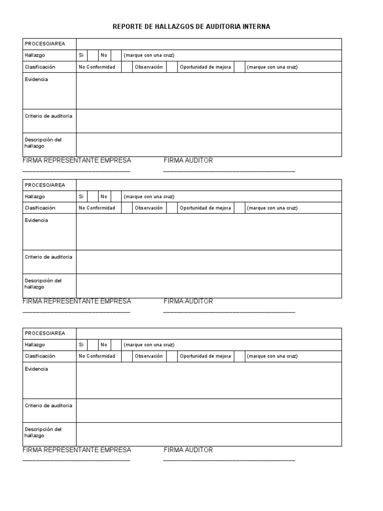 Formato Reporte Hallazgos Auditoria Interna | PDF