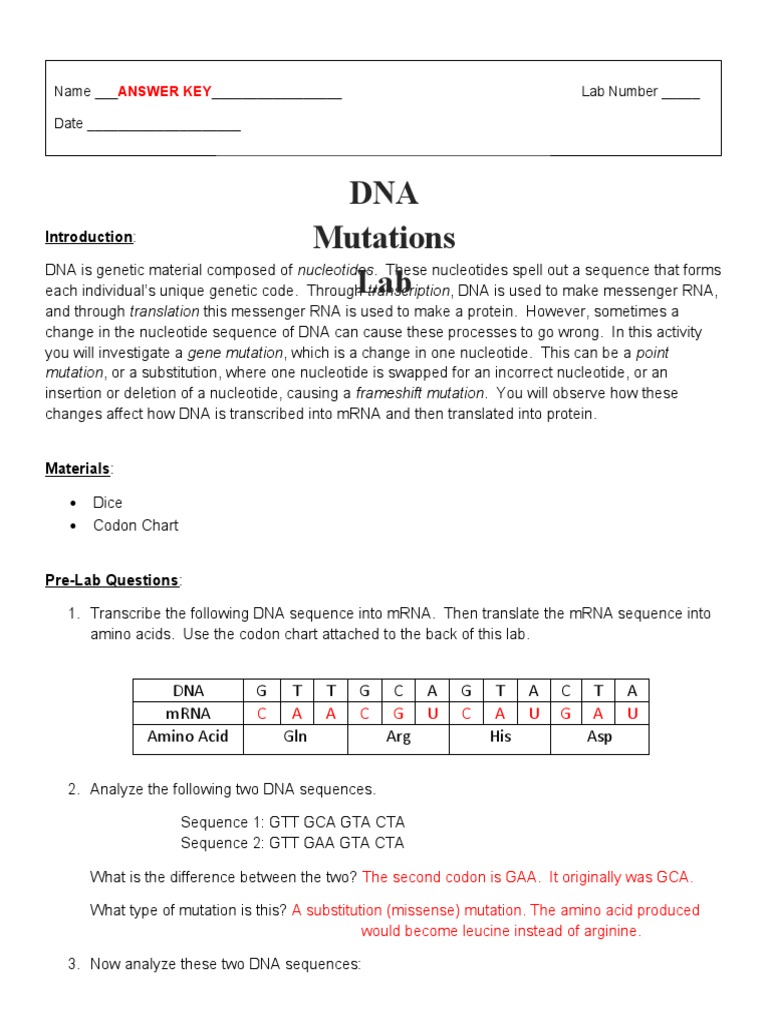 DNA Mutations Lab Answer Key | PDF | Genetic Code | Point Mutation