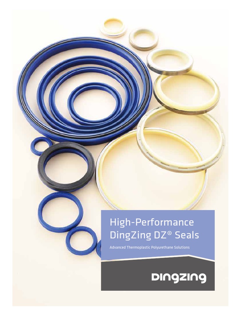 Catalogue - DingZing DZ Seals Catalogue-E-S | PDF | Continuum Mechanics | Chemical Product ...