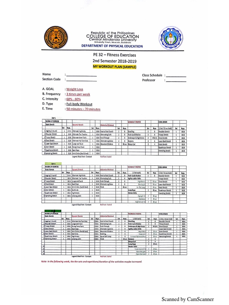 Pe Workout Plan | PDF