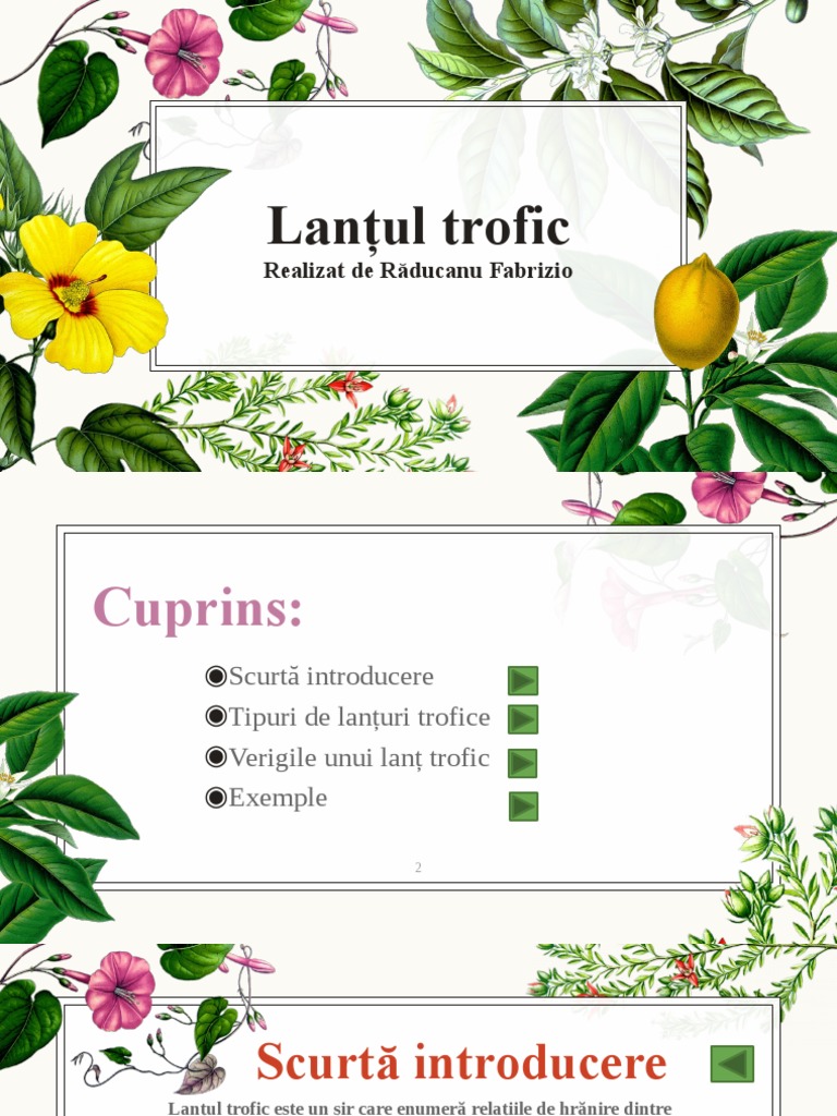 Lanțul Trofic | PDF