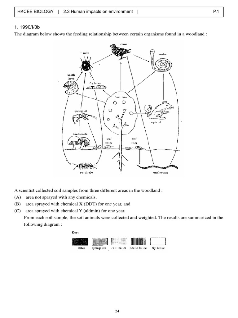 Bio 2.3 Human Impacts On The Environment | PDF | Waste Management ...