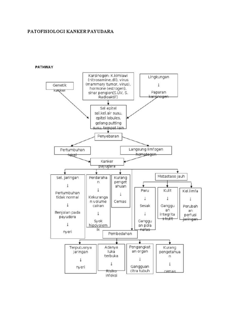 Patofisiologi Kanker Payudara Fix | PDF