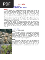 Candlestick Chart Gujrati Feb 2021 | PDF